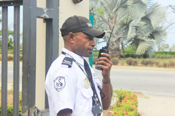 What We Do - Black Swan